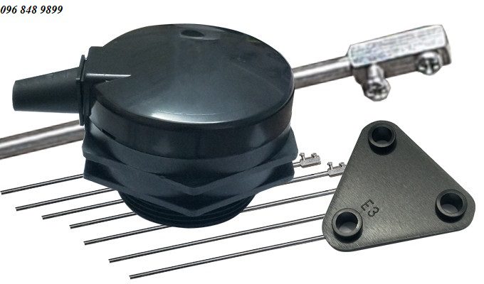 Phao que điện cực - Thanh điện cực F03-60-SUS304 omron